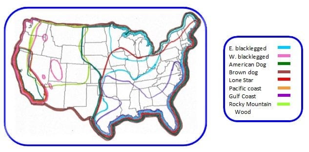 Tick-borne Diseases Overview | Partnership for Tick-borne Diseases ...